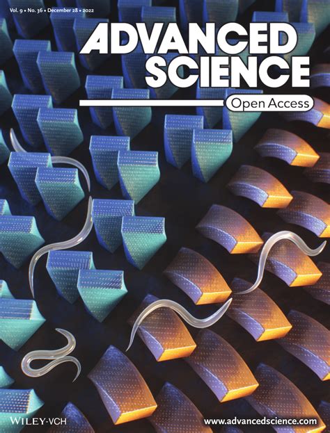 Pdf Multi‐modal Locomotion Of Caenorhabditis Elegans By Magnetic Reconfiguration Of 3d