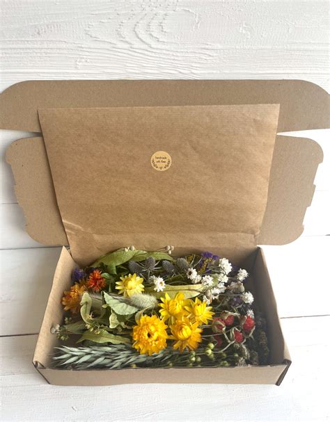 Natural Dried Flowers Mix Craft Boxes Preserved Dry Botanical Supplies