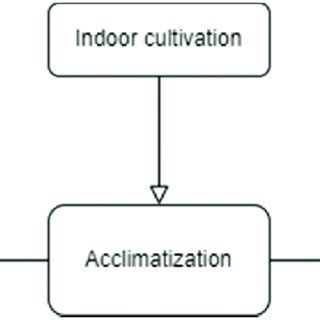 Flow Diagram Of Experiments Download Scientific Diagram