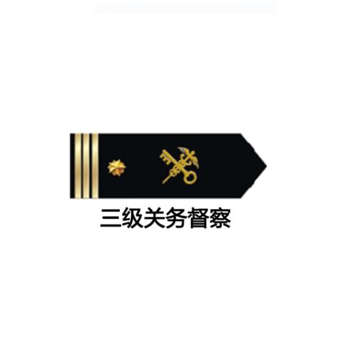 三级关务督察百度百科