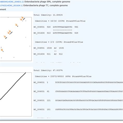 Dot Matrix And Text Views Of Pairwise Alignment Between Genome
