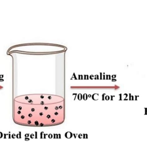 Synthesis Of Core Shell Composites Bn Download Scientific Diagram