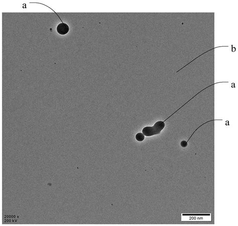 Nano Selenium Composite Gel And Preparation Method Thereof And Selenium Supplement Eureka