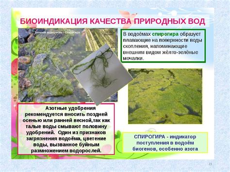 Биодиагностика при экотоксикологической оценке водных экосистем Биоиндикация презентация онлайн