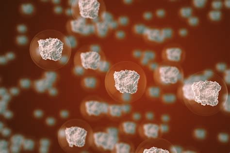 Wachstums Mechanismus von T Zell Lymphomen entschlüsselt MT Portal