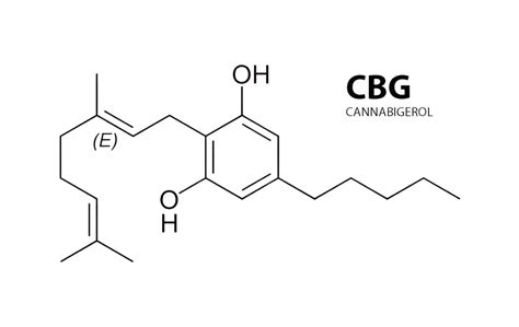 What Is Cbg Character Co Ltd