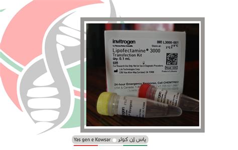 Lipofectamine 3000 لیپوفکتامین شرکت آزمایشگاهی یاس ژن کوثر