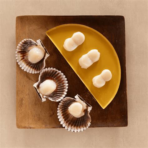 12 Servings Fish And Shellfish Variety Box Seatopia