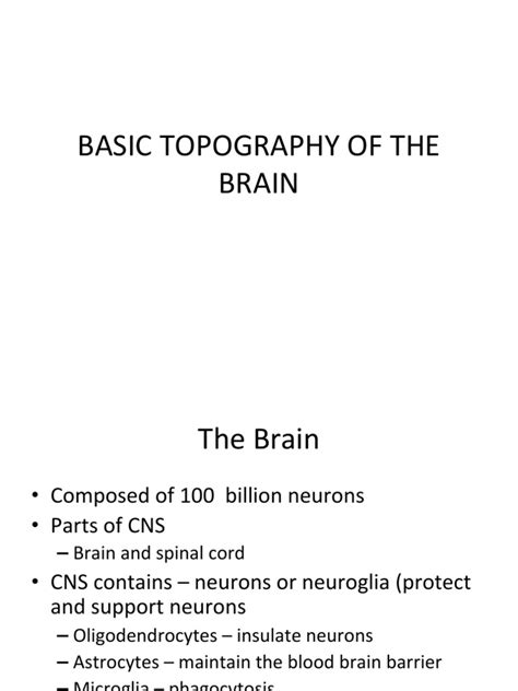 Lecture On Neuro Pdf