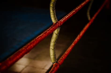 무료 이미지 반지 권투 싸움 사변형 그림 물감 로프 빨간 매크로 사진 어둠 사진술 식물 줄기 매듭 4928x3264 Paulo Gonzalez