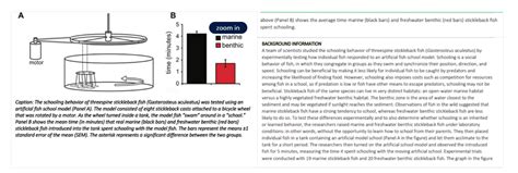 ReLATNE Importance In 2020 So FarType Of Graph Chegg Com