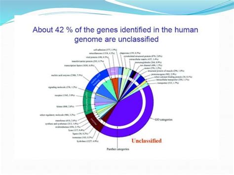 Forward And Reverse Genetics Pptx