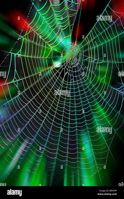 Psychedelic Spider Webs