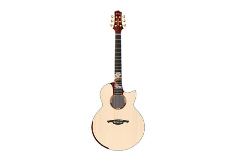 Grows万物生长 楚门吉他丨TrumonGuitars
