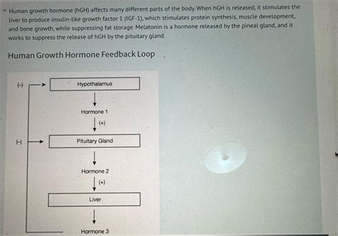 Solved Human Growth Hormone Hgh ﻿affects Many Different