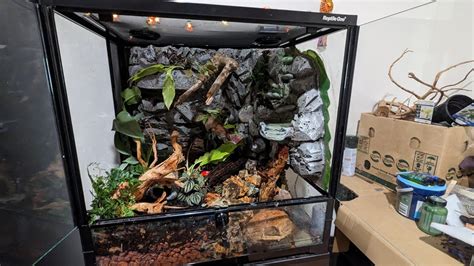The Frog Enclosure And Paludarium I Built R Frogs