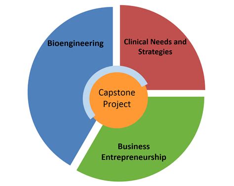Curriculum