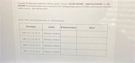 Solved Please Complete And Orovide Explanitions As Needed Chegg Com