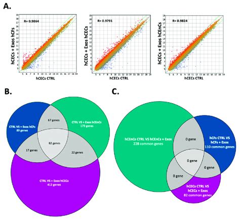 Microarray Analysis Of The Gene Expression Pattern Of Hcecs Cultured In Download Scientific