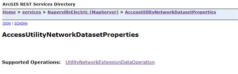 Net Open An Extension Dataset Rest Soe Arcgis Enterprise Sdk