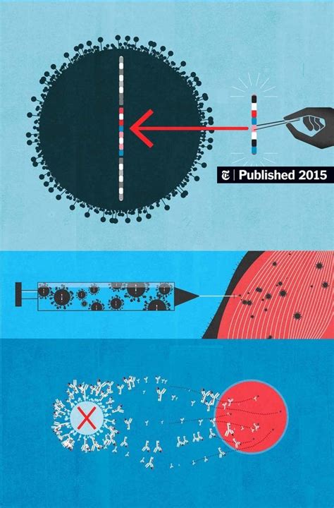 Protection Without A Vaccine The New York Times