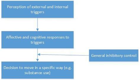 Theoretical Model Of The Role Of The Executive Function Inhibitory Download Scientific Diagram