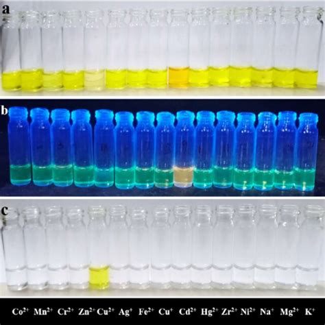 A Optical Naked Eye Detection Of Cd 2 By L2 Under Visible Light B Download Scientific