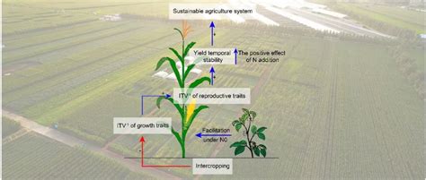 【课题组进展】植物生态学报：植物多样性对土壤有机碳及其稳定性影响的研究进展 Book学术