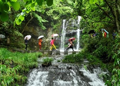浙江首批 乡村氧吧”名单公布！30地入选，你去过几个？新浪新闻