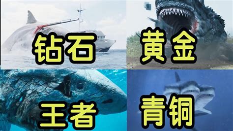 盘点鲨鱼的段位，四头鲨鱼只是青铜，王者鲨鱼可以在陆地上行动。高清1080p在线观看平台腾讯视频