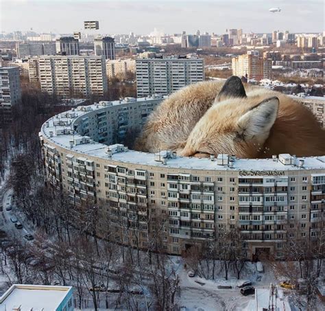 Illustrative Examples Of Various Stuff