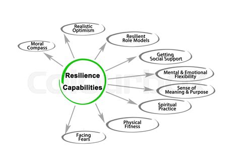 Resilience Capabilities Stock Image Colourbox