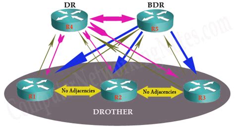 How Ospf Routers Build Adjacency Explained