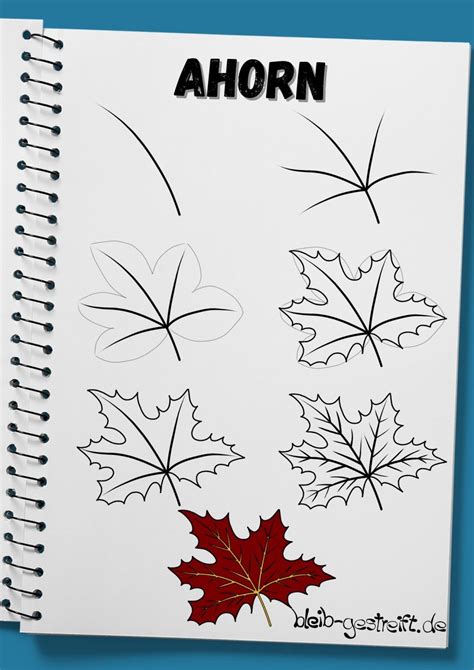 How To Draw A Simple Maple Leaf Artofit