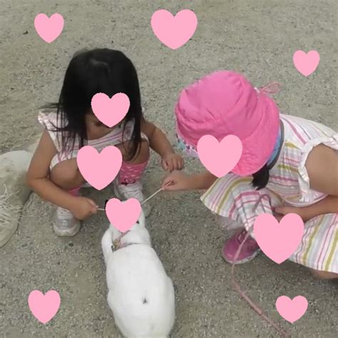 Jsパンチラ デジファン