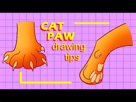 Steps To Draw A Cat Paw