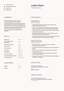 CNC Programmer CV Example