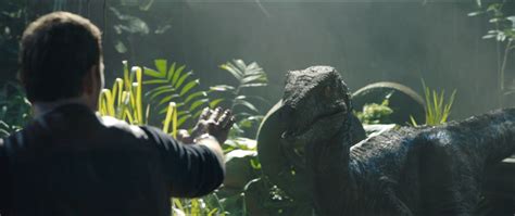Jurassic World Fallen Kingdom Blue 11 By Giuseppedirosso On Deviantart