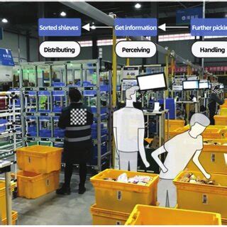 Logistics Workers Performing Parcel Sorting Operations Download Scientific Diagram
