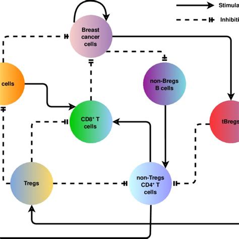 Plot Of The Hill Function For Different Values Of The Hill Coefficient