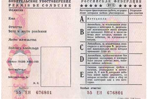 Шаблон водительских прав 49 фото