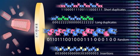 Programmable Synthetic Materials Research Uc Berkeley