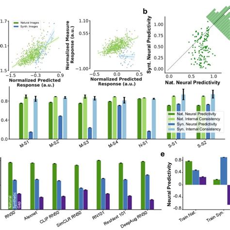 Object Recognition Performance And Neural Predictivity A Example