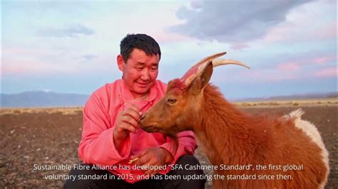 Ногоон зээлийн хөтөлбөр 2022 Тогтвортой ноос ноолуурын нийлүүлэлтийг дэмжих Youtube