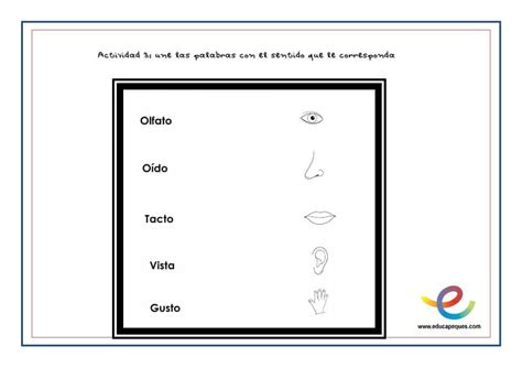 Aprendiendo Los Cinco Sentidos Del Cuerpo Humano