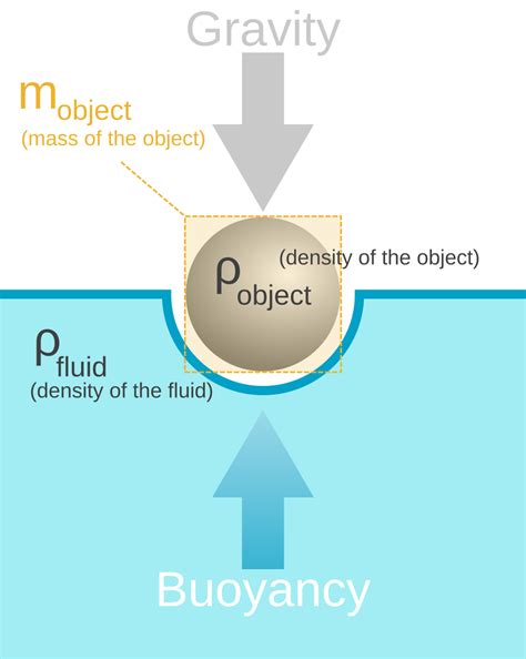 Buoyancy Simple English Wikipedia The Free Encyclopedia