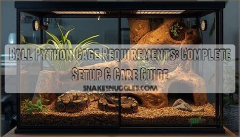 Ball Python Cage Requirements Complete Setup And Care Guide