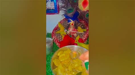 मंदिर में देवता खड़े क्यों रहते हैं Bhakti Bhajan Song Shortvideo Laddugopal Hrkrishna