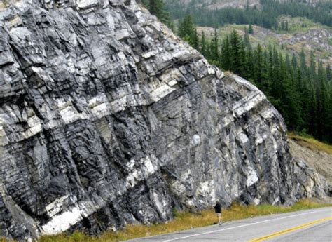 Sedimentary Structures And Textures Geology Science