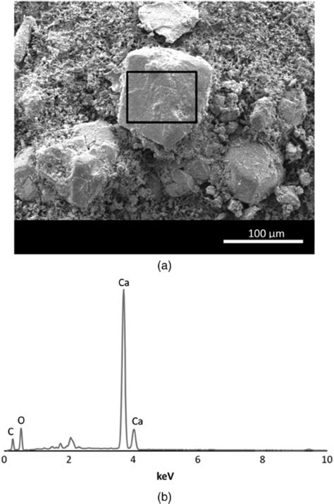 Water Absorption Test Results Download Scientific Diagram